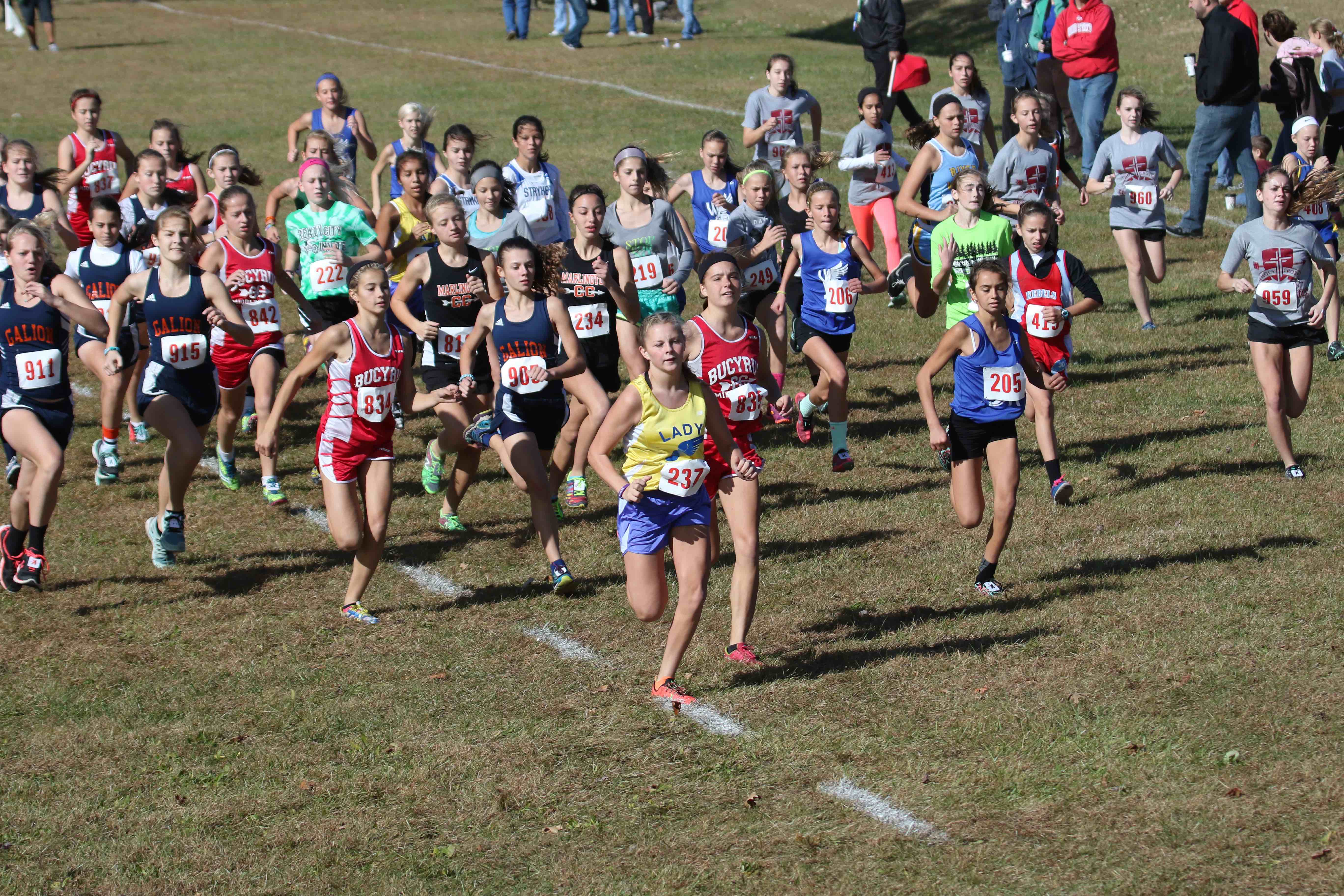 Store | OAC Online Store